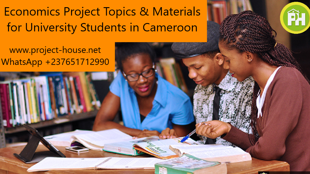 Economics Project Topics with Materials