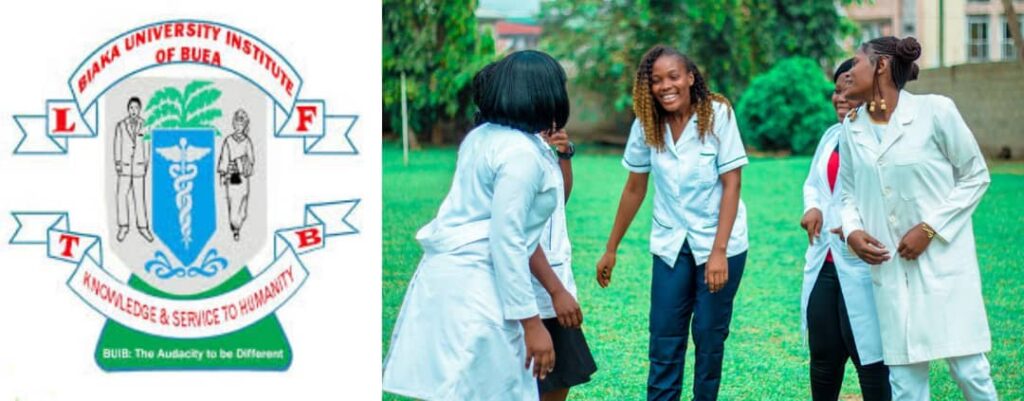 14 Best Private Universities In Cameroon [2024]